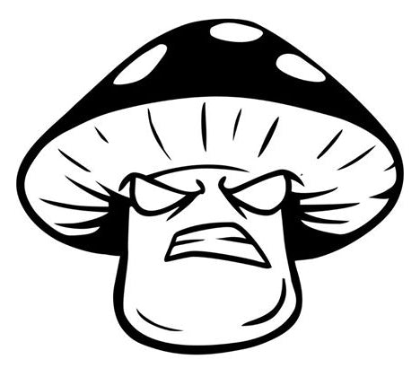 Shroom Packs – Shroom Samples